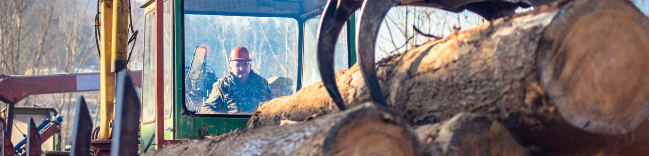 Logging Accidents | Personal Injury Lawyer | Morgantown, WV